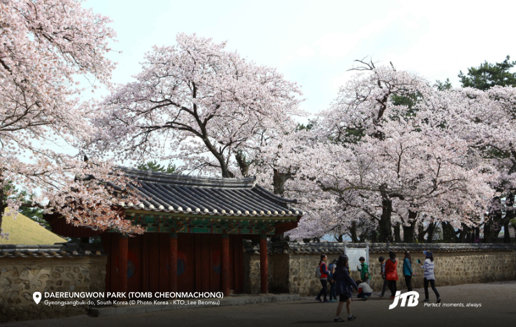 6D5N Korea's Spring Bliss Tour – JTB ASIA PACIFIC PHIL. CORP.